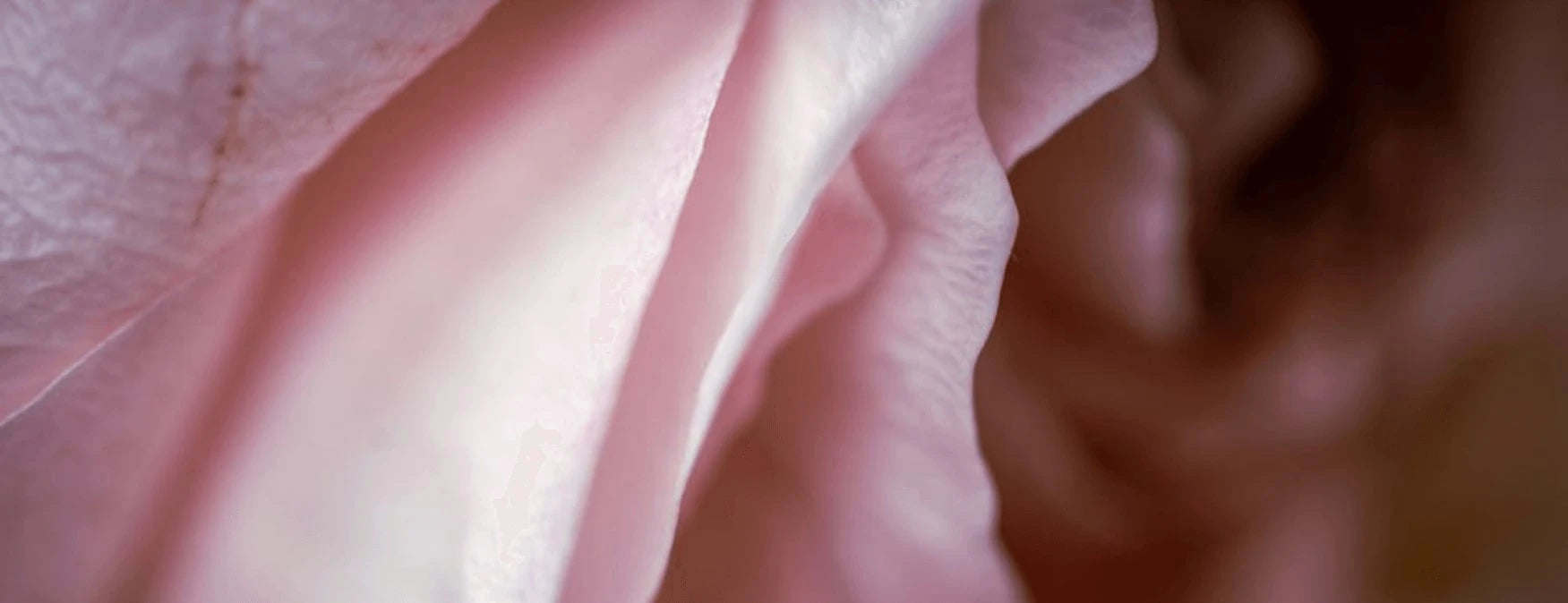 M19Minus - SKINCARE – M19MINUS